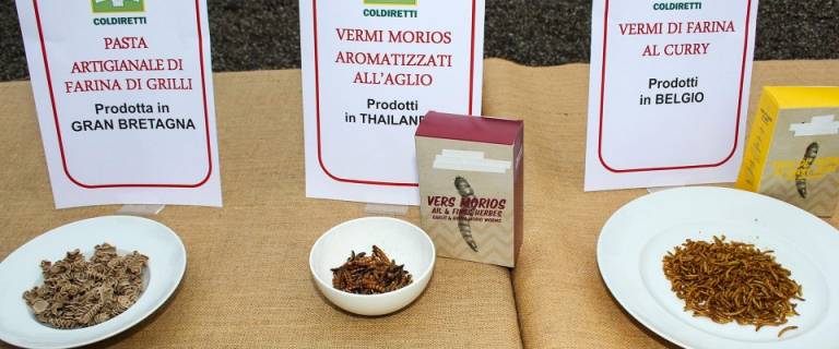 Farine di insetti, tarme e larve. Decreti del governo: etichette ...