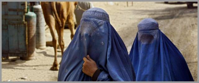 Le donne della Jihad, uno studio rivela: non sono più spose votate al ...