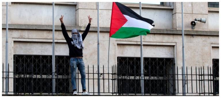 Generazione Pro-Pal: chi sono, cosa fanno e perché odiano? Parola al ...