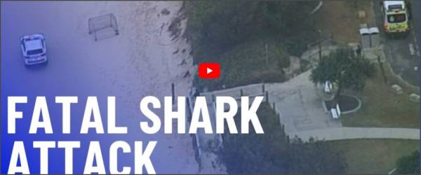 Il terrore arriva dal mare, 17enne attaccata da uno squalo a 100 metri dalla riva, morta sulla ...